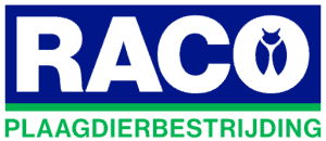 Bedwantsen herkennen: zo weet je of je last hebt van bedwantsen - Raco ...